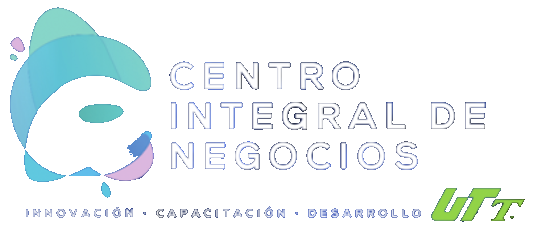 Quiero que diseñen un programa para mi empresa